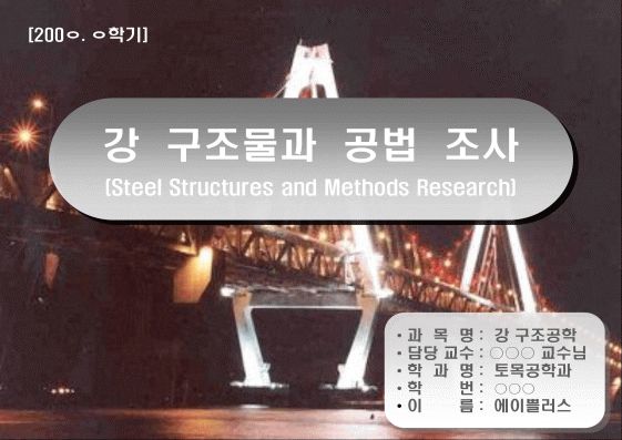 강구조물과 공법조사[강교량]