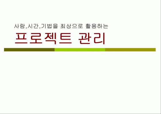 사람,시간,기법을 최상으로 활용하는 프로젝트 관리