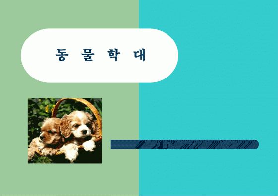 동물 학대 레포트 자료
