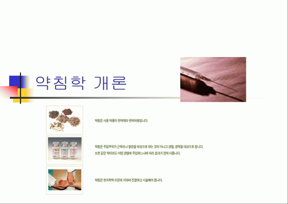 약침 주의점 경락약침 팔강약침 자하거 봉독 개론