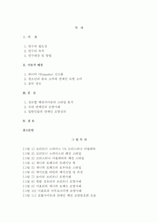 연예인이 청소년 문화에 끼친 영향 분석