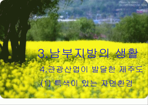 중1 사회과 제주도의 지형과 기후 단원 파워포인트 교수자료