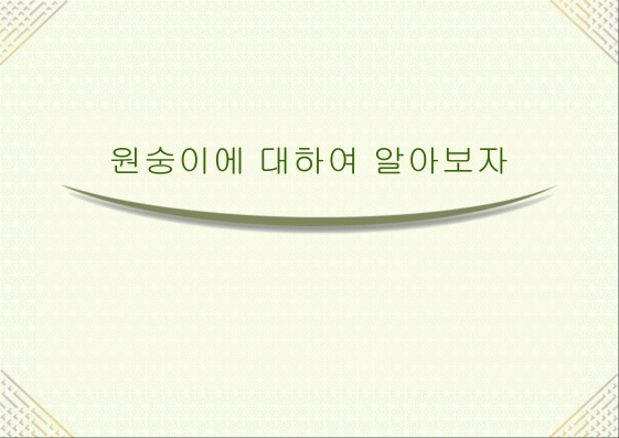 원숭이에 대하여 알아보자