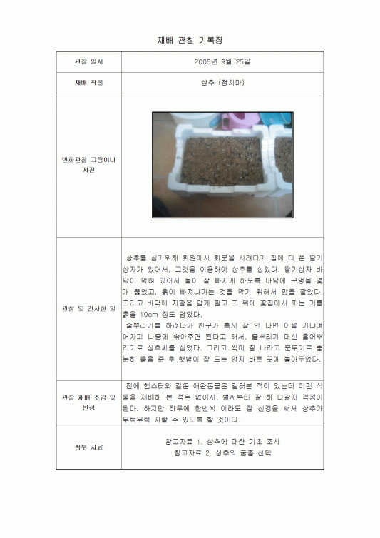 가정에서 할 수 있는 식물 재배 - 상추 재배 일지