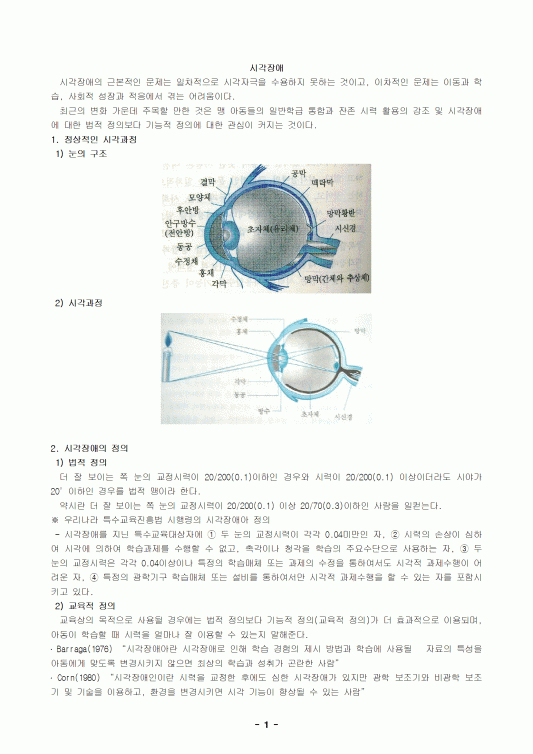 시각장애 [의약학]