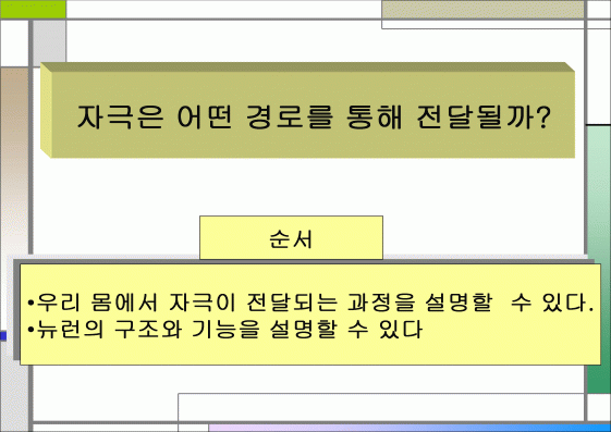자극은 어떤 경로를 통해 전달될까?