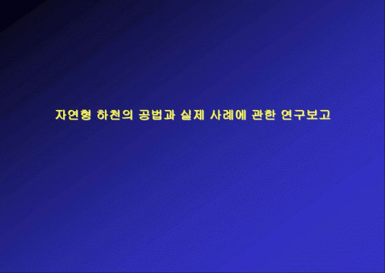 자연형 하천의 공법과 실제 사례에 관한 연구보고