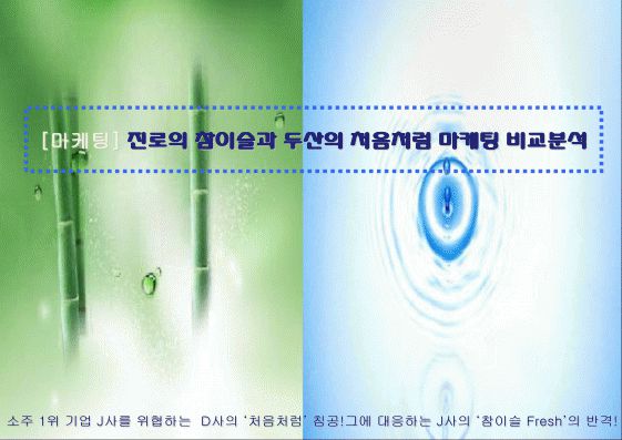 [마케팅] 진로의 참이슬과 두산의 처음처럼 마케팅 비교분석