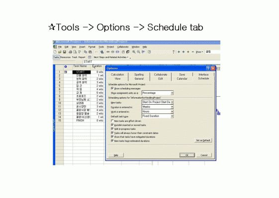 Microsoft Project(마이크로 프로젝트)