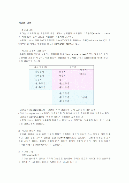 치아형태학 레포트 자료