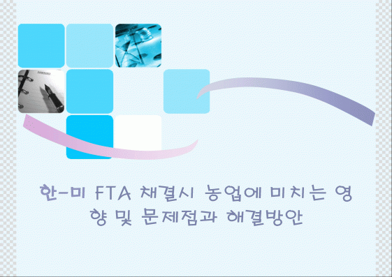 한-미 FTA 채결시 농업에 미치는 영향 및 문제점과 해결방안