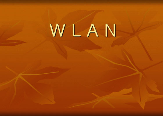 WLAN에 관해 레포트 자료