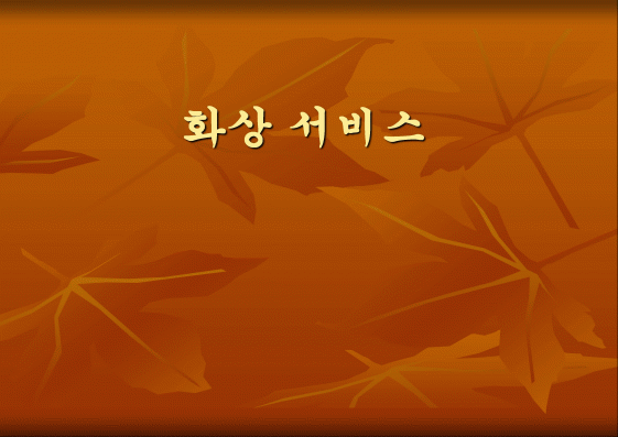 화상서비스 레포트 자료