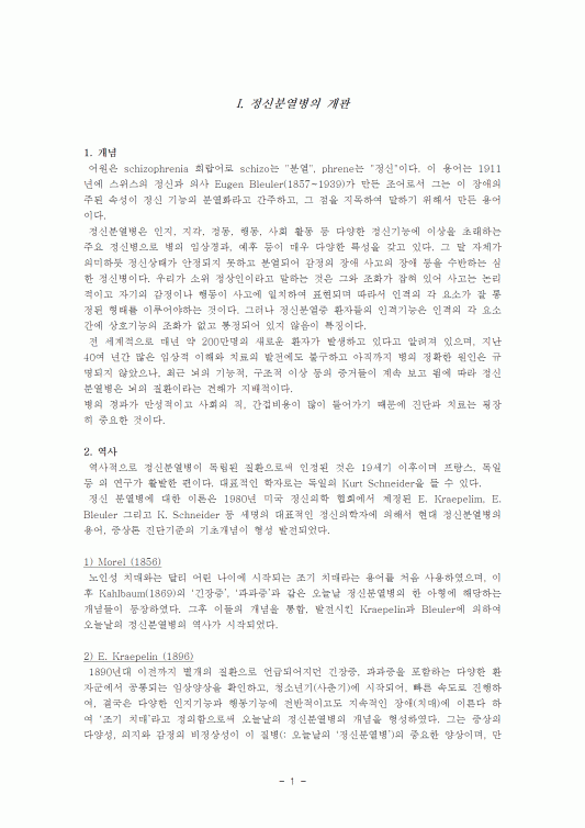 정신간호 정신분열병 문헌고찰