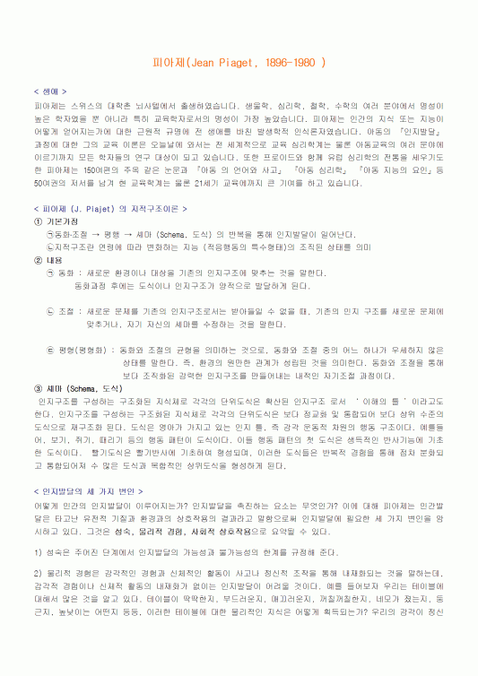 피아제 인지 발달 단계 & 이론
