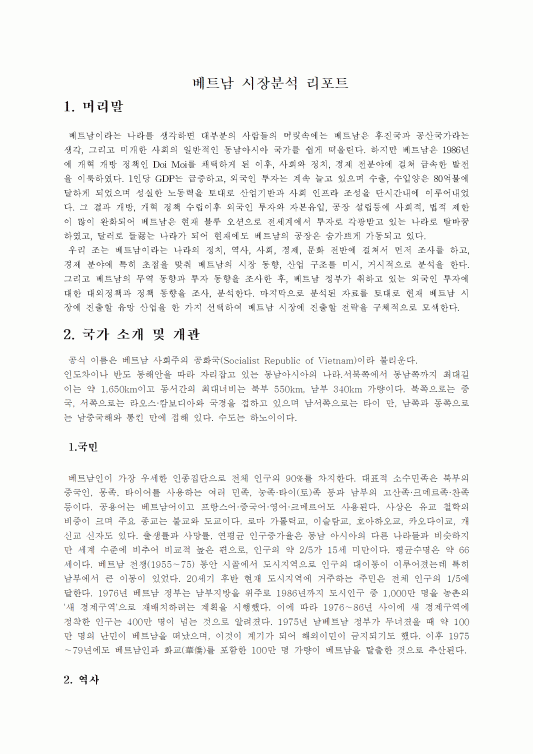 베트남 시장분석 리포트-베트남 시장진출전략