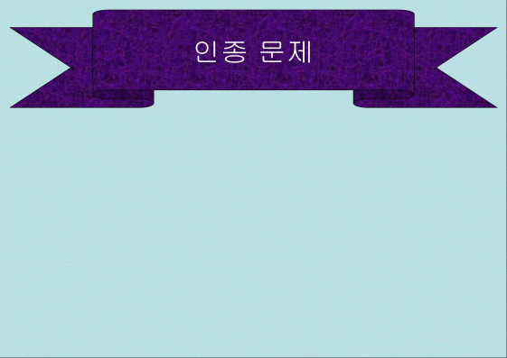 [사회과학] 인종문제