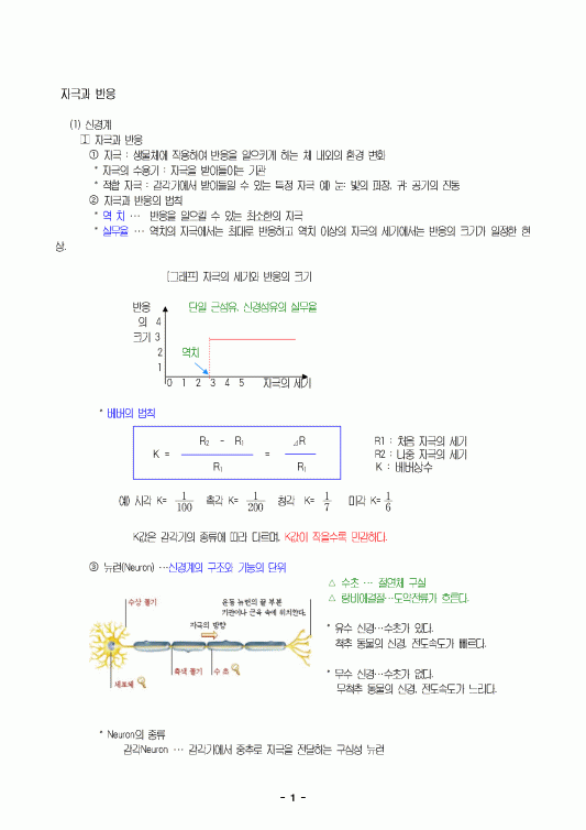 자극과 반응 레포트 자료