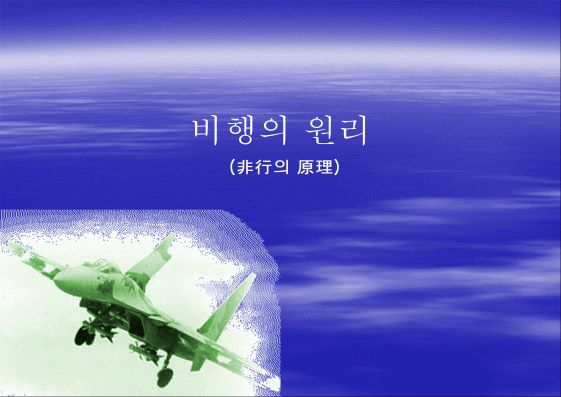 비행의 원리 레포트 자료