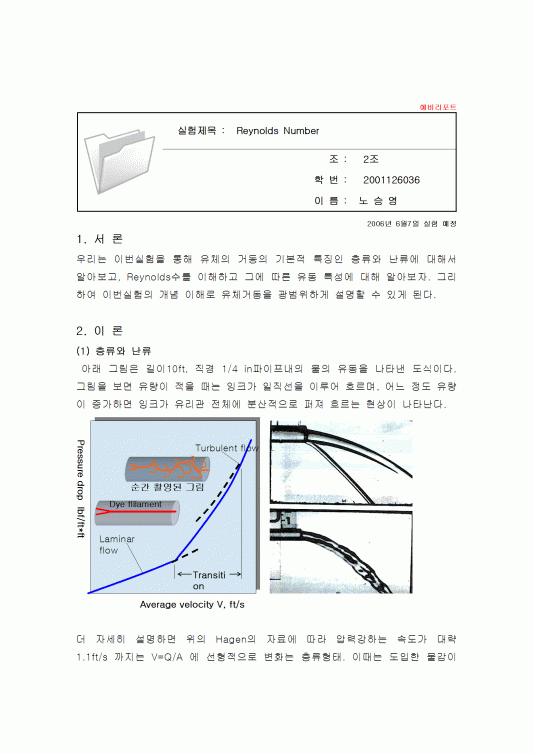 레이놀드 수에 대한 조사