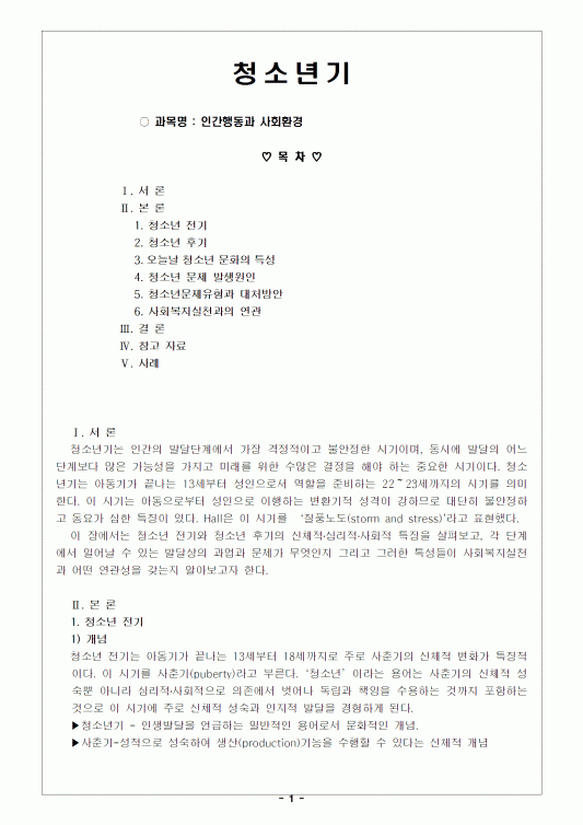 [인간행동과 사회환경] 청소년기
