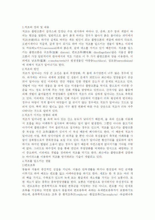 적조의 원인 및 대책