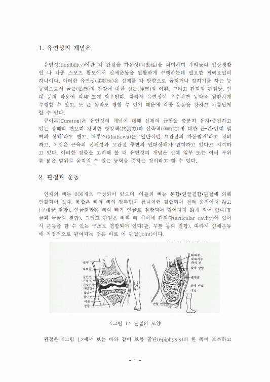 유연성측정 레포트 자료