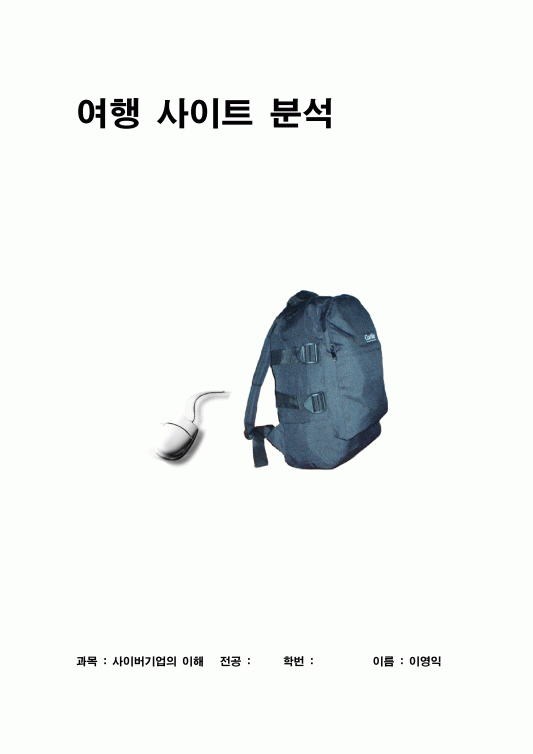여행 사이트 분석