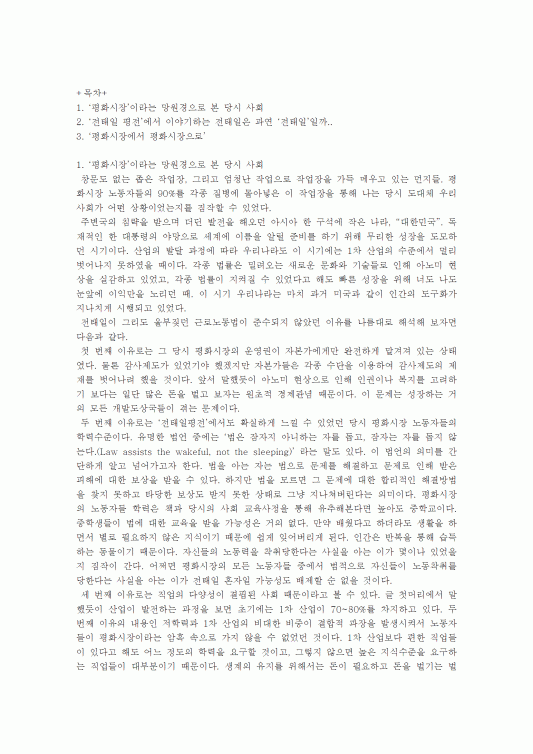 전태일평전을 읽고
