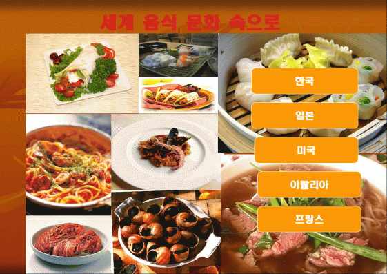 [독후감/서평/요약] 세계의 음식문화