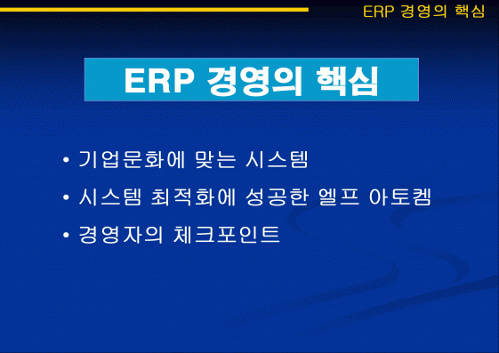 ERP 경영의 핵심-ERP 성공 10계명