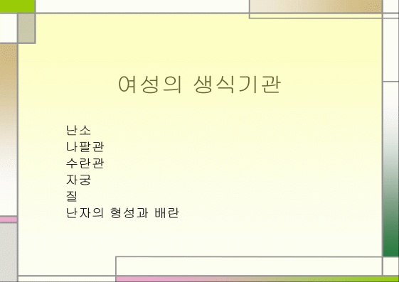 여성의 생식기관