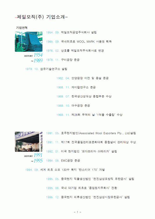 [재무관리, 마케팅] 제일모직 기업경영분석 및 재무분석 완벽