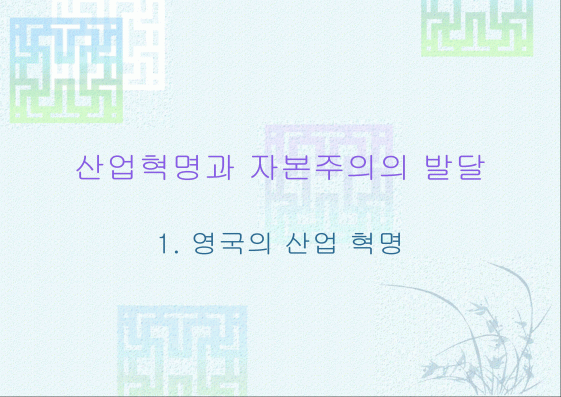 산업혁명과 자본주의의 발달
