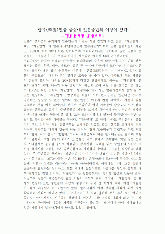 겨울연가를 통해 본 한류(韓流)열풍
