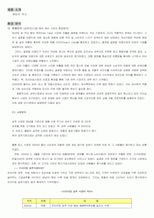 [마케팅] 샴푸 시장 & 팬틴 성공요인 분석