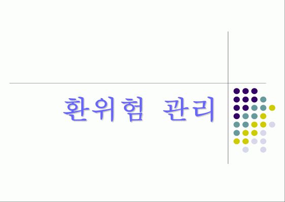 환위험 관리 레포트 자료