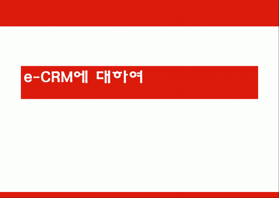 e-CRM에 대하여