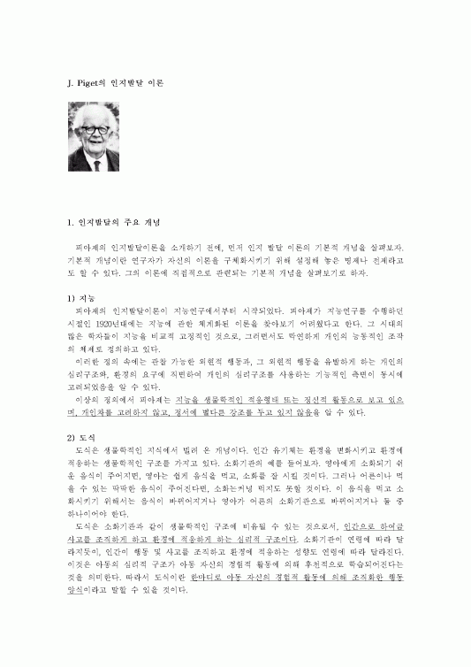 [교육학]피아제(J. Piget)의 인지발달 이론