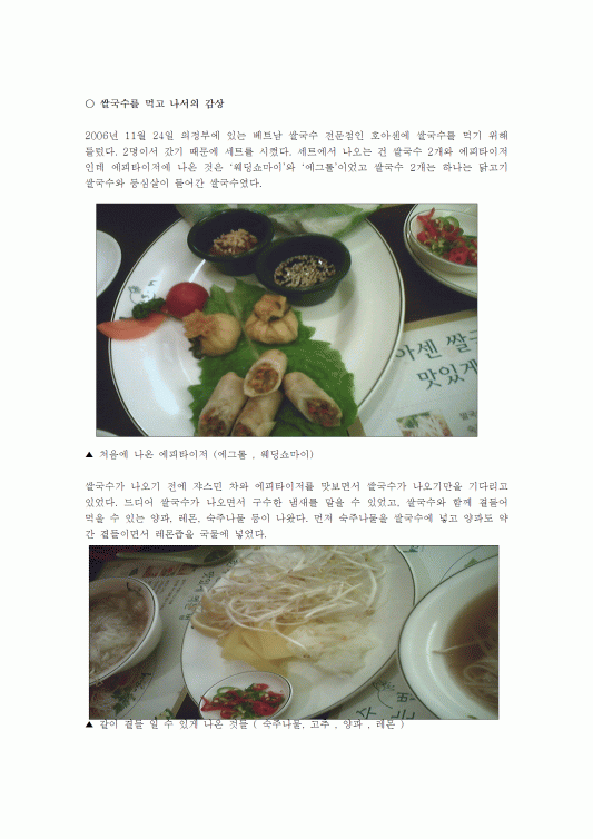 에스닉푸드에 대한 감상문 - 쌀국수를 먹고