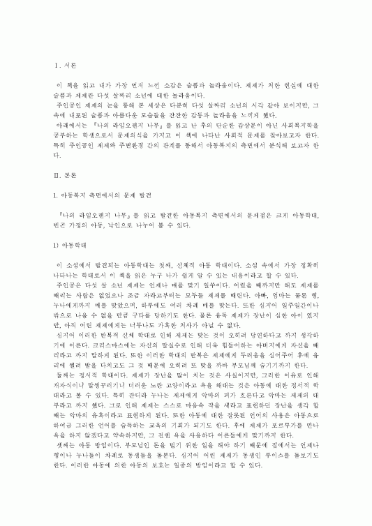 나의 라임오렌지나무를 읽고를 아동복지의 측면에서 분석하고 평가