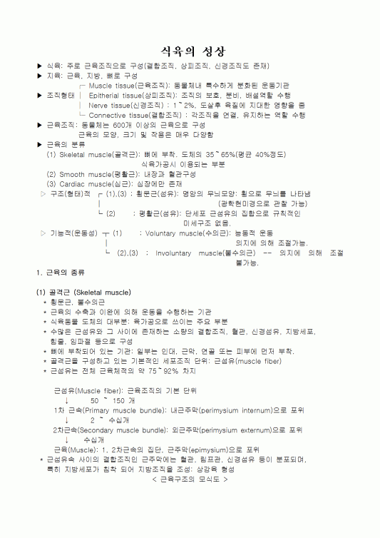 식육의 성상 레포트 자료