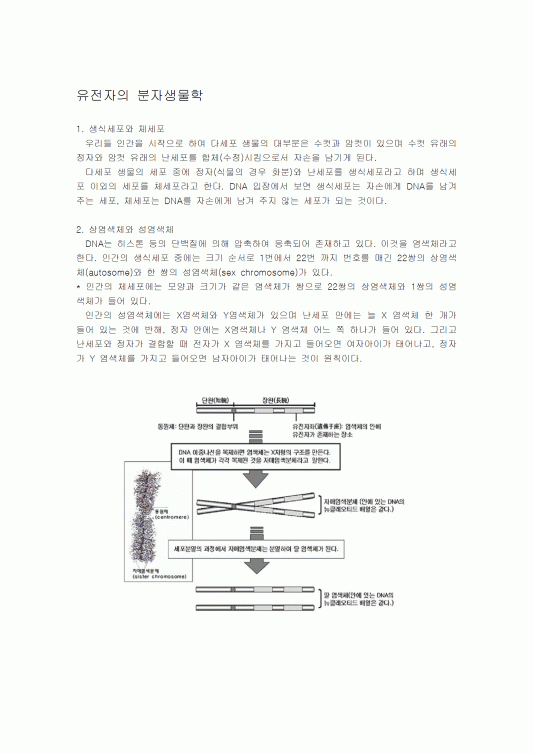 유전자의 분자생물학