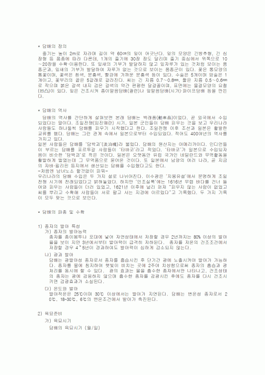 연초에 대한 재배 및 생태 특성