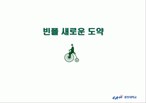 [마케팅] 빈폴 분석