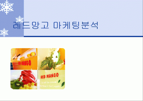[마케팅] 레드망고 마케팅분석