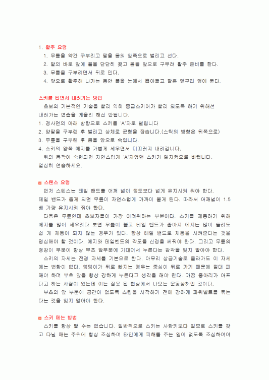 초급 스키 레포트 자료