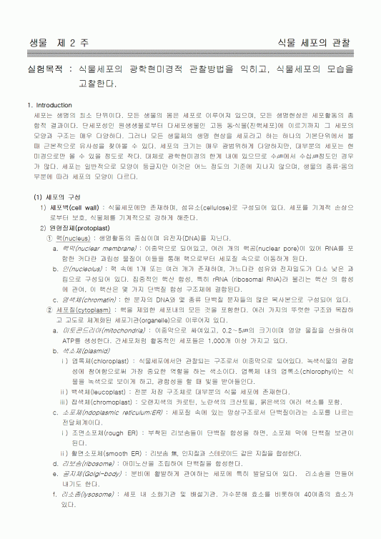 식물세포 관찰(양파세포)