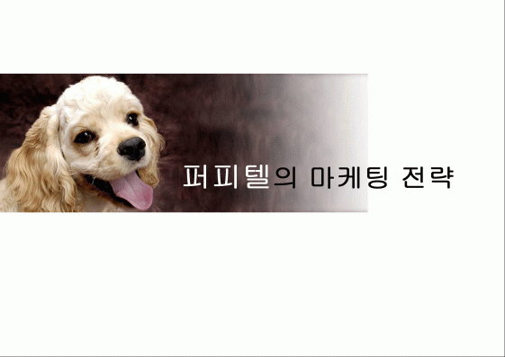 [마케팅] 퍼피텔의 마케팅 전략