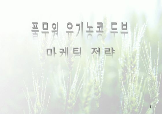 [마케팅] 풀무원 유기농콩 두부 마케팅 전략